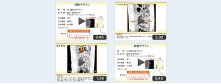 テリボン | Pharma DIGITAL 旭化成ファーマ医療関係者向けサイト